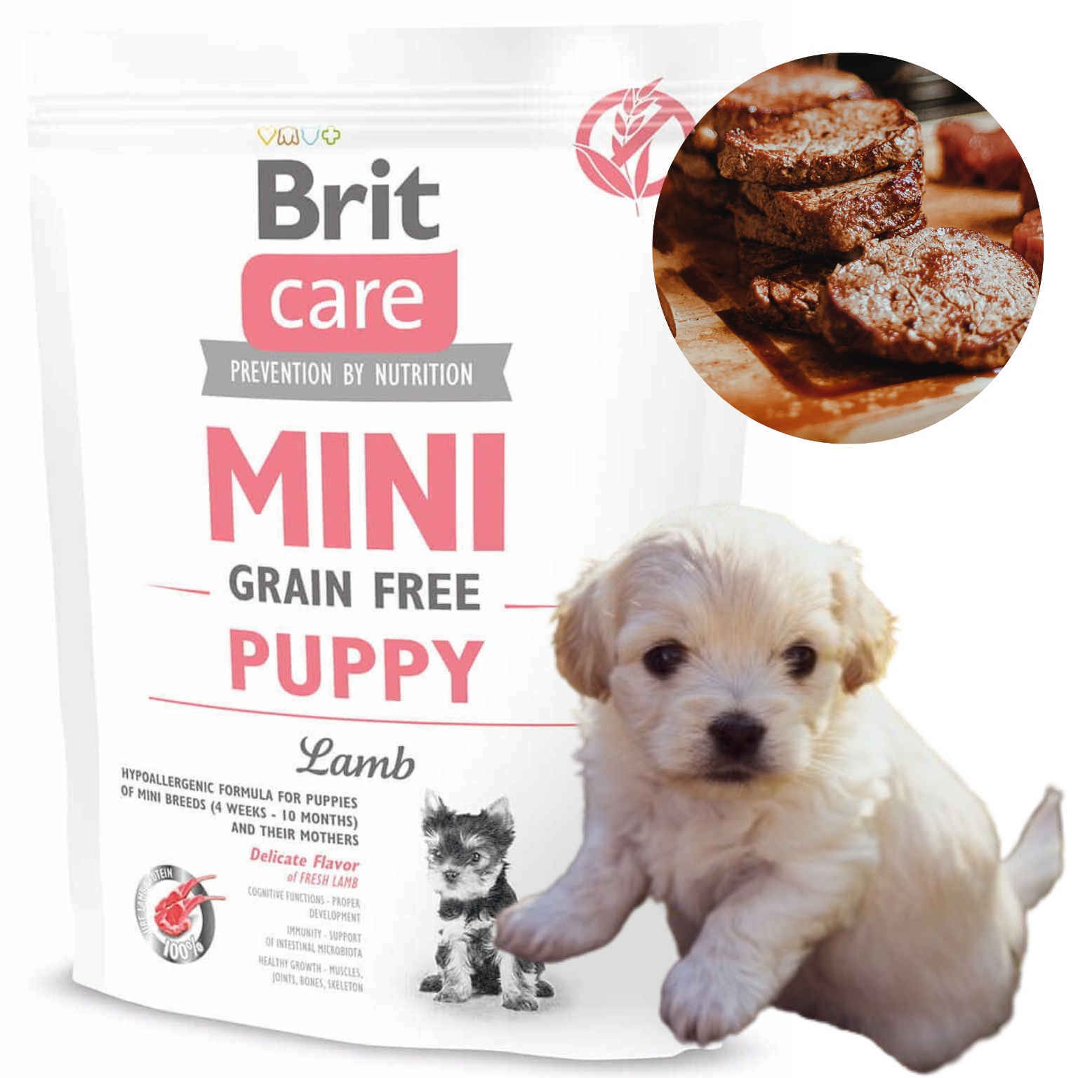 BRIT CARE MINI GRAIN FREE PUPPY LAMB 400g (8595602520145) • Cena ...