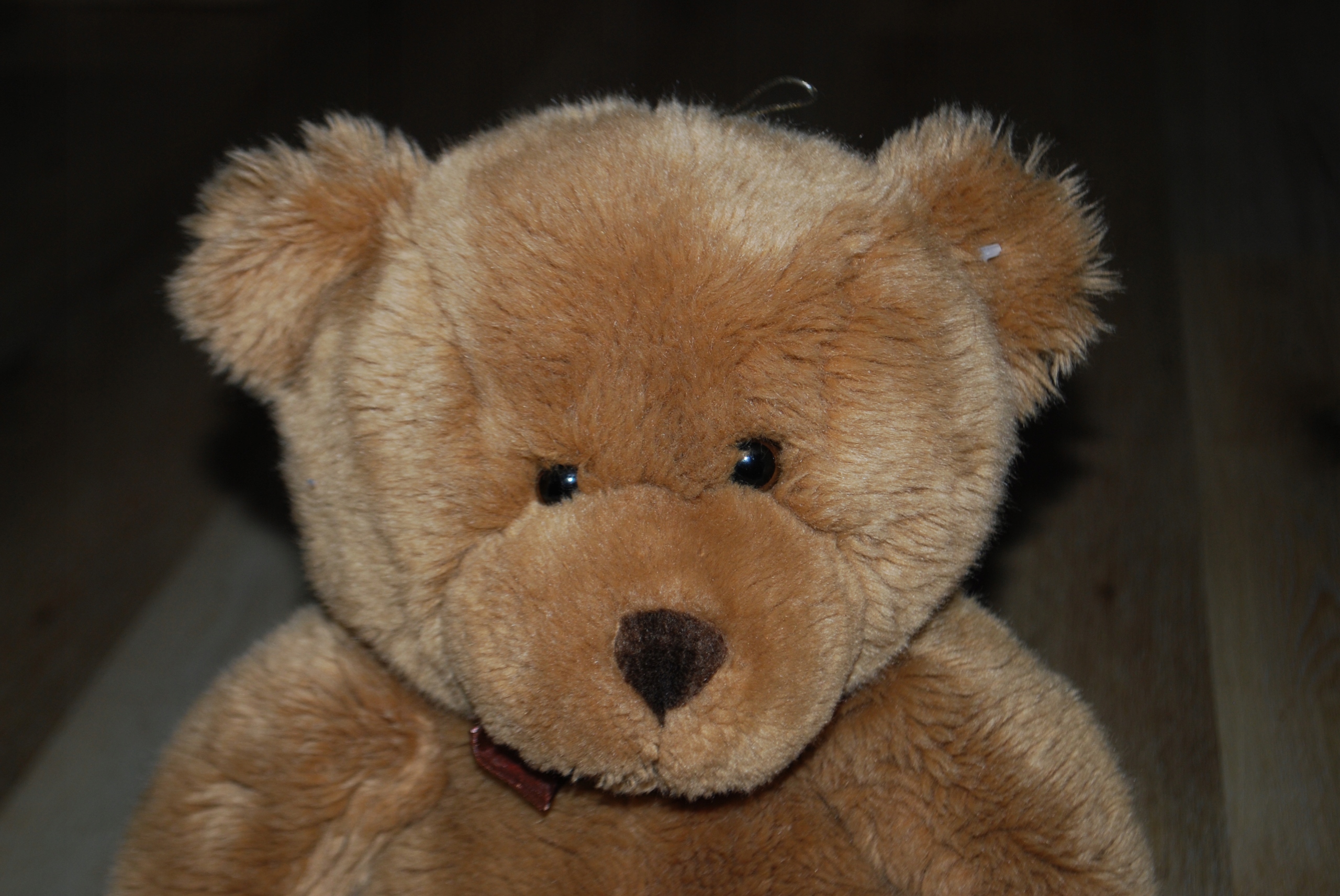 pluszak maskotka miś misiu misio Gampi (5907222448090) • Cena, Opinie ...