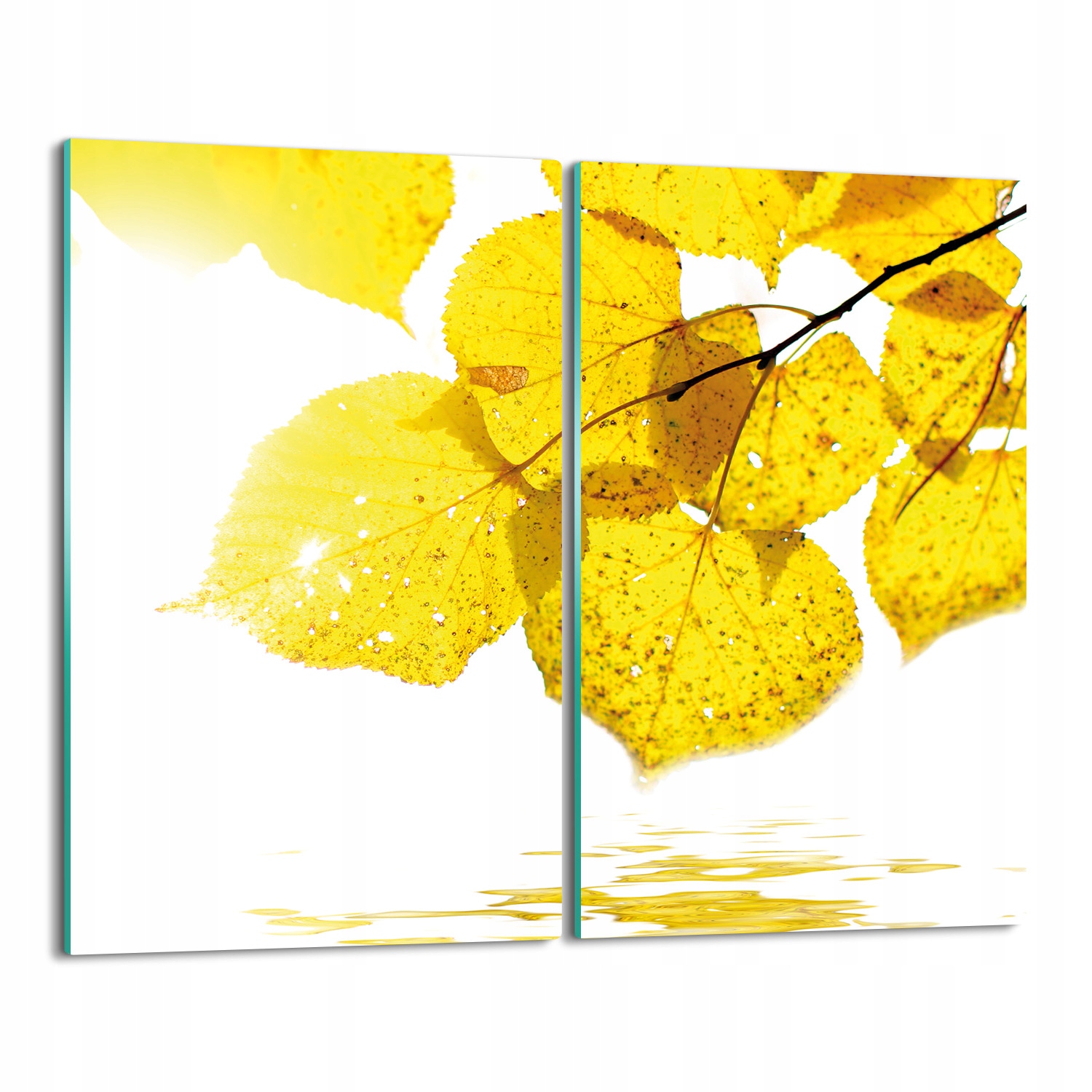 Splashback védőburkolat Őszi levelek fa 2x 30x52, • Ár, Vélemények ...