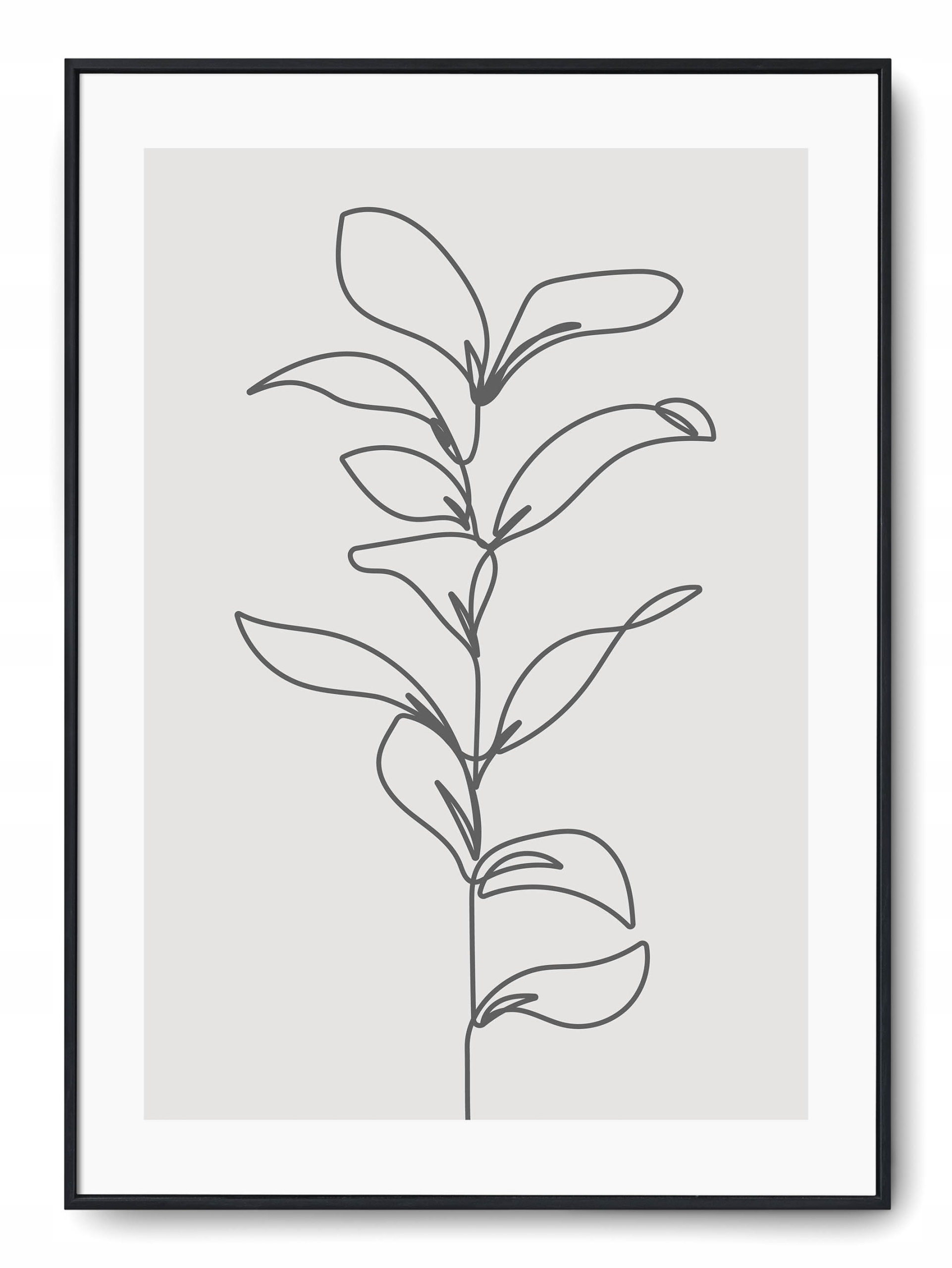 Plakat r 40x50 cm Kwiat Rysunek Szkic Gr bez ramy 40 x 50 cm • Cena ...