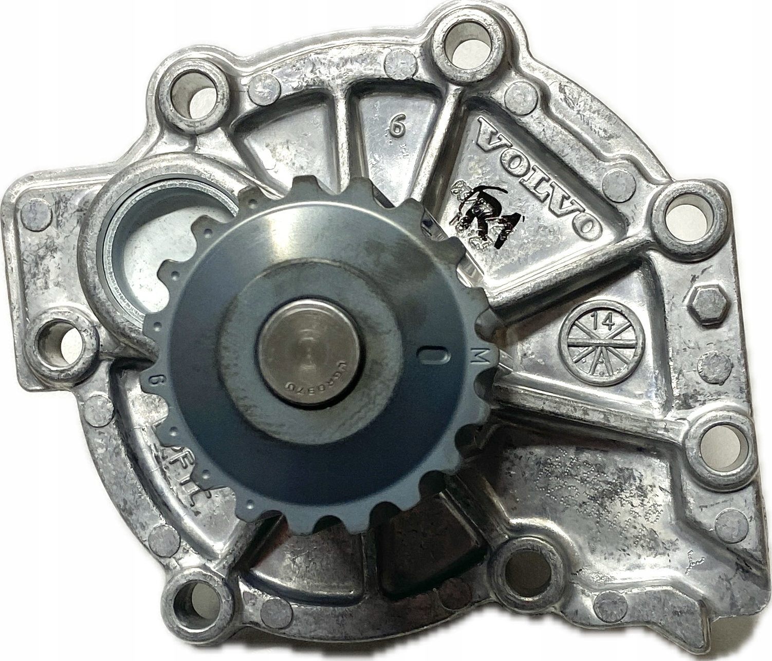 Volvo OE 31368179 pompa wody cyl • Cena, Opinie - Allegro