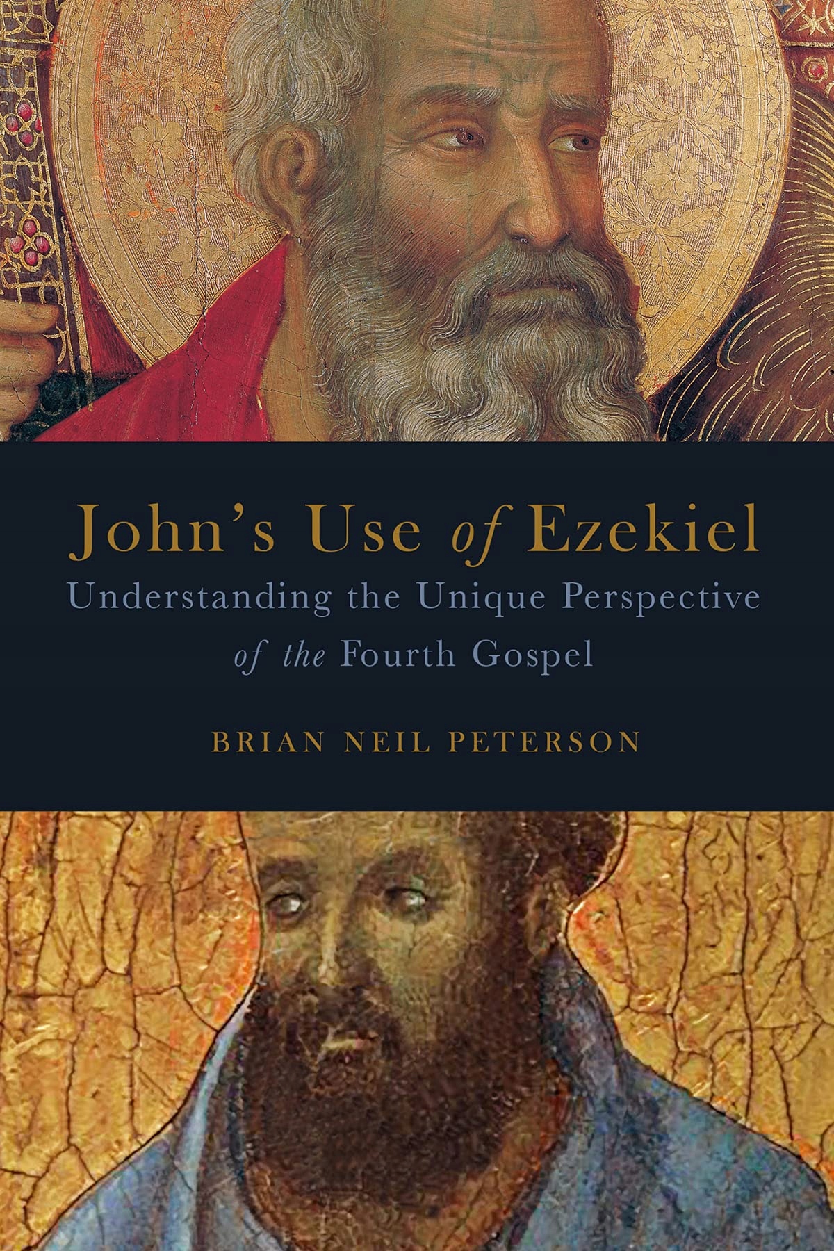 John's Use of Ezekiel: Understanding the Unique Perspective of the Fourth Gospel Peterson, Brian ...