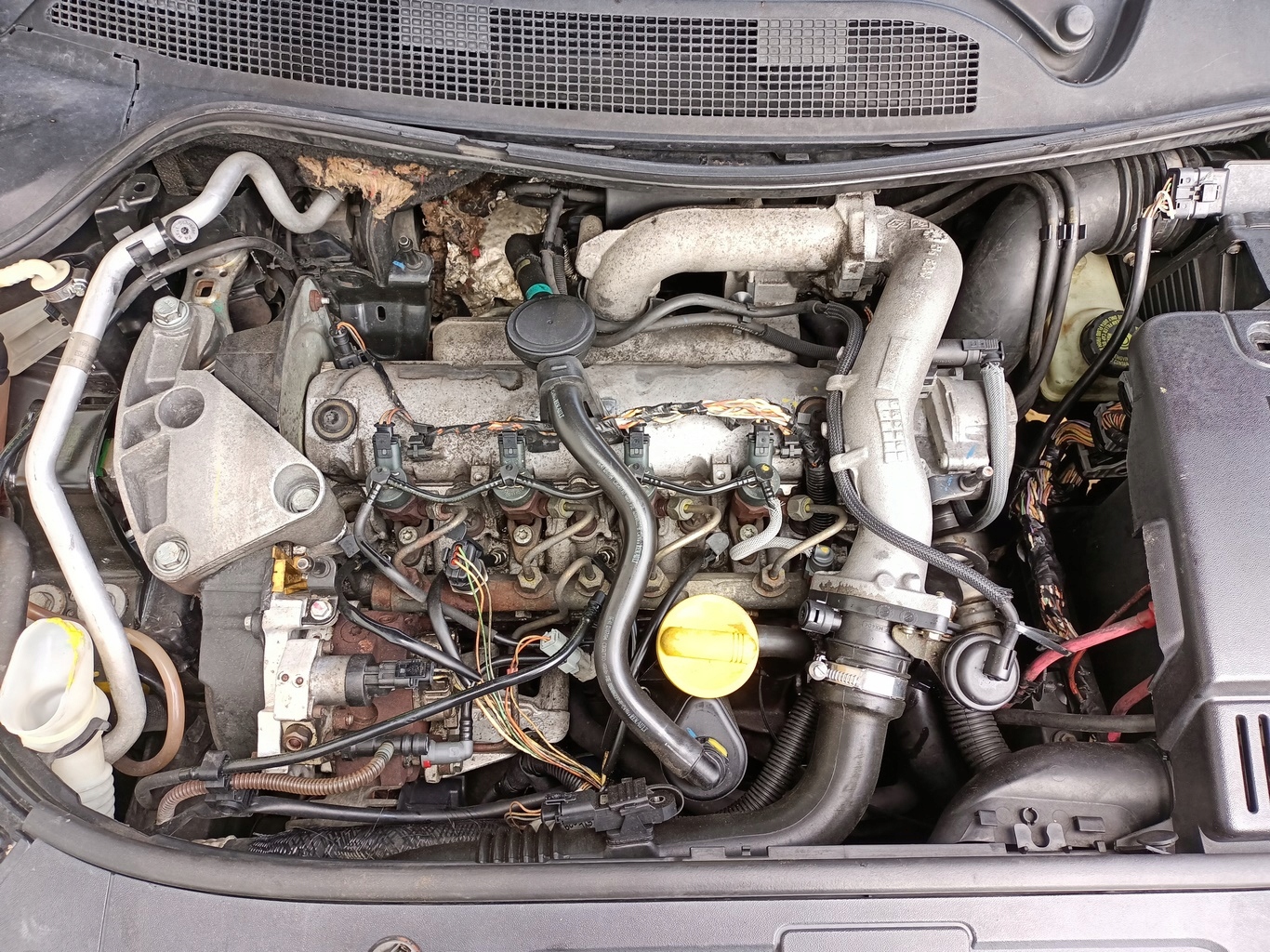 SILNIK RENAULT 1.9 DCI F9Q 800 88KW 120KM za 1900.00PLN z Dynów ...