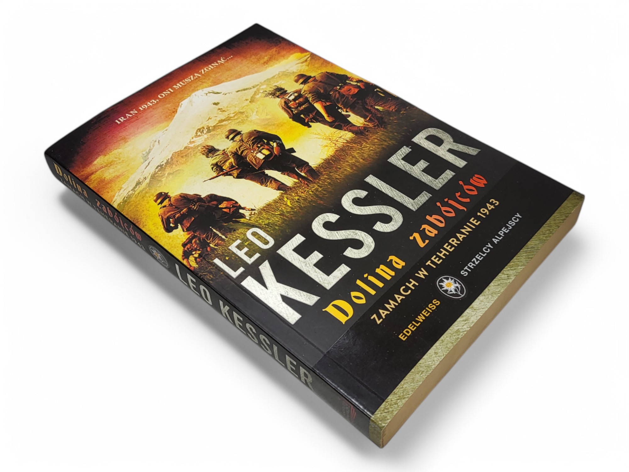 LEO KESSLER DOLINA ZABÓJCÓW Literatura piękna(17234320316) | Książka Allegro