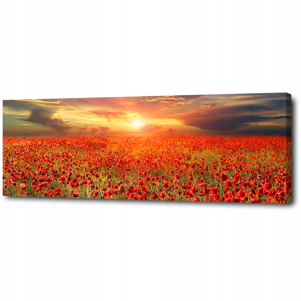 Obraz tisk na plátně Pole Máky 145x45 za 1149.00CZK - Allegro