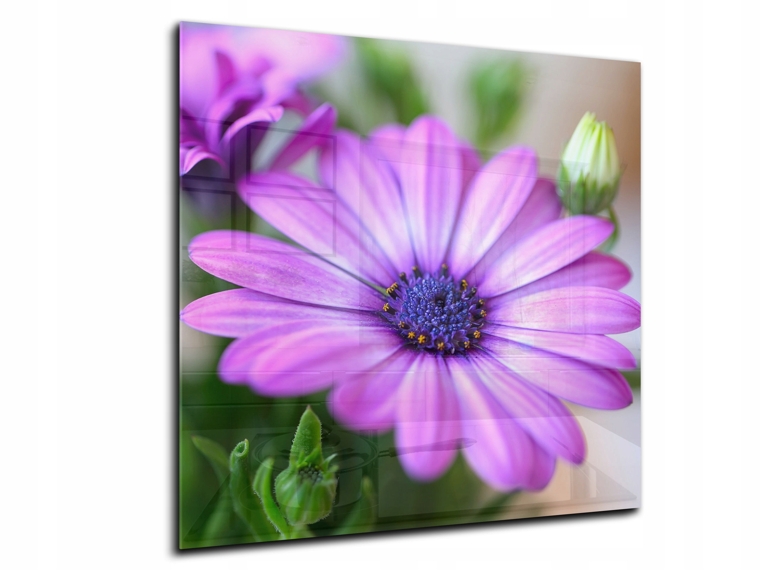 Lacobel hartowany grafika panel 50x50 kwiat • Cena, Opinie - Allegro