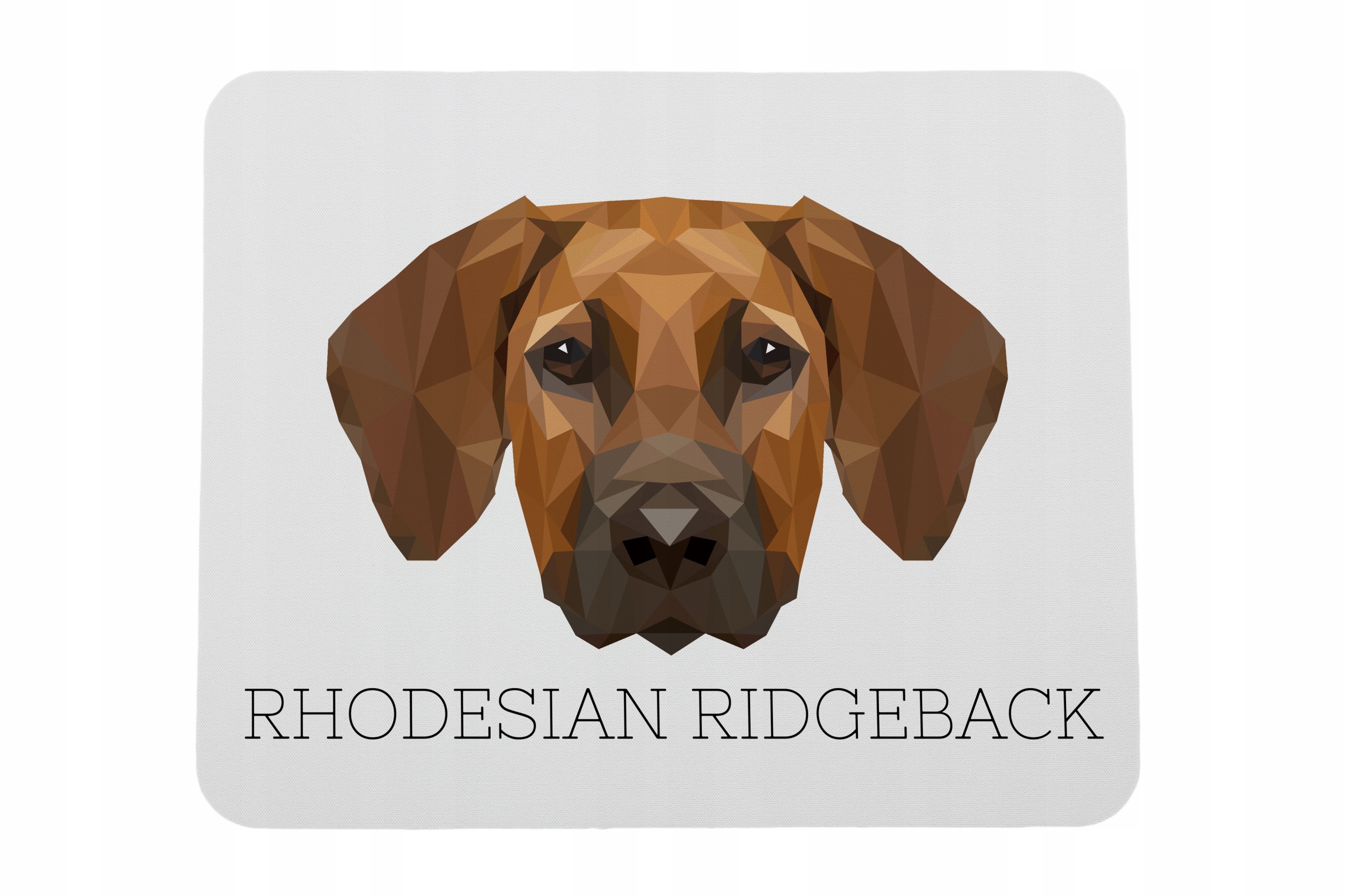 Resident Evil Podkładka - Niska cena na Allegro