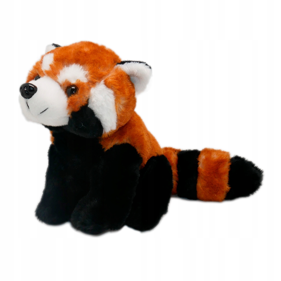 Pandka Ruda - Niska cena na Allegro