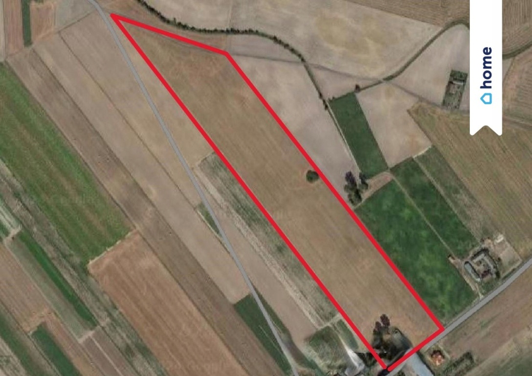 Działka, Lubanie, Lubanie (gm.), 62800 m² Lubanie - Pow. włocławski ...