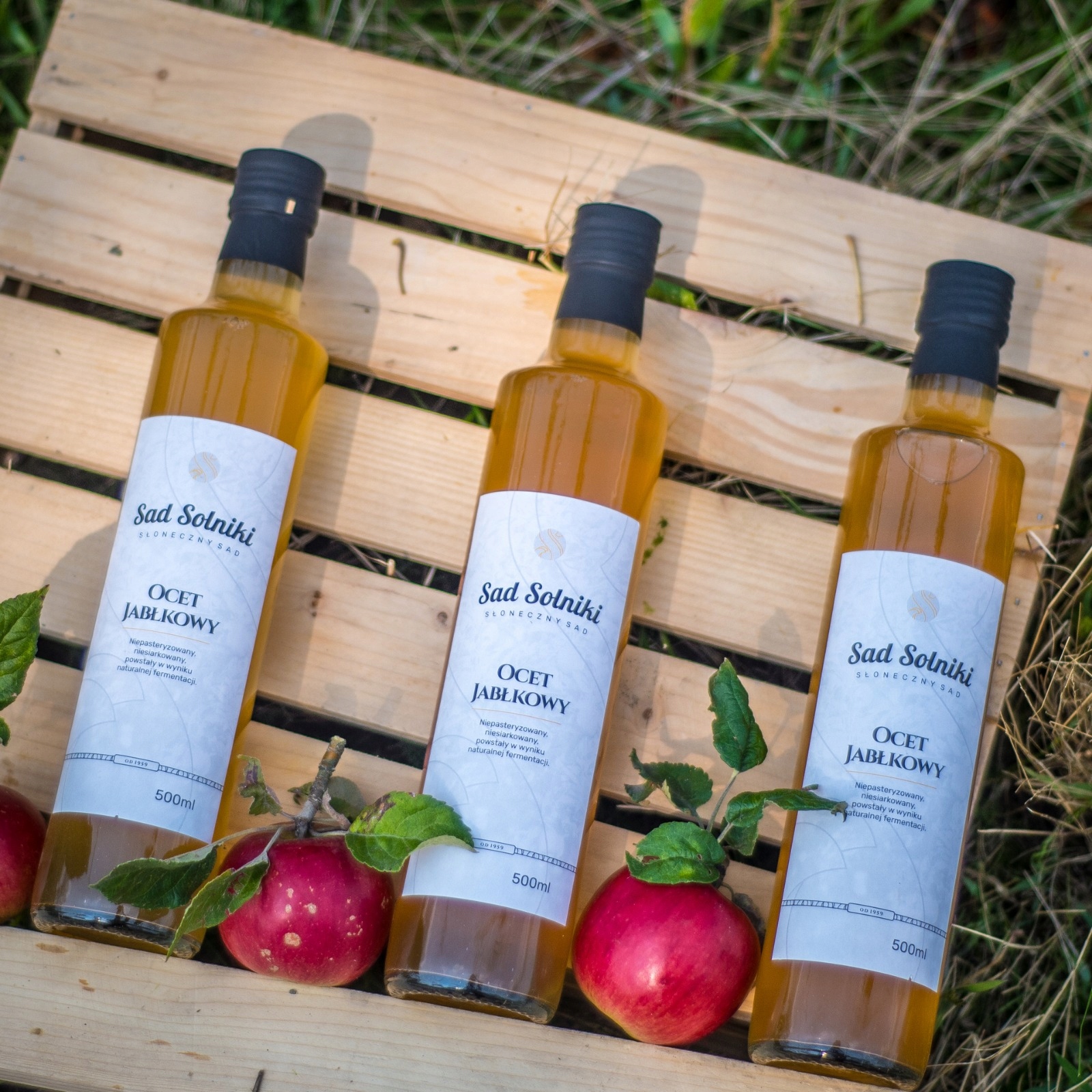 Przedmioty użytkownika SadSolniki - Allegro.pl