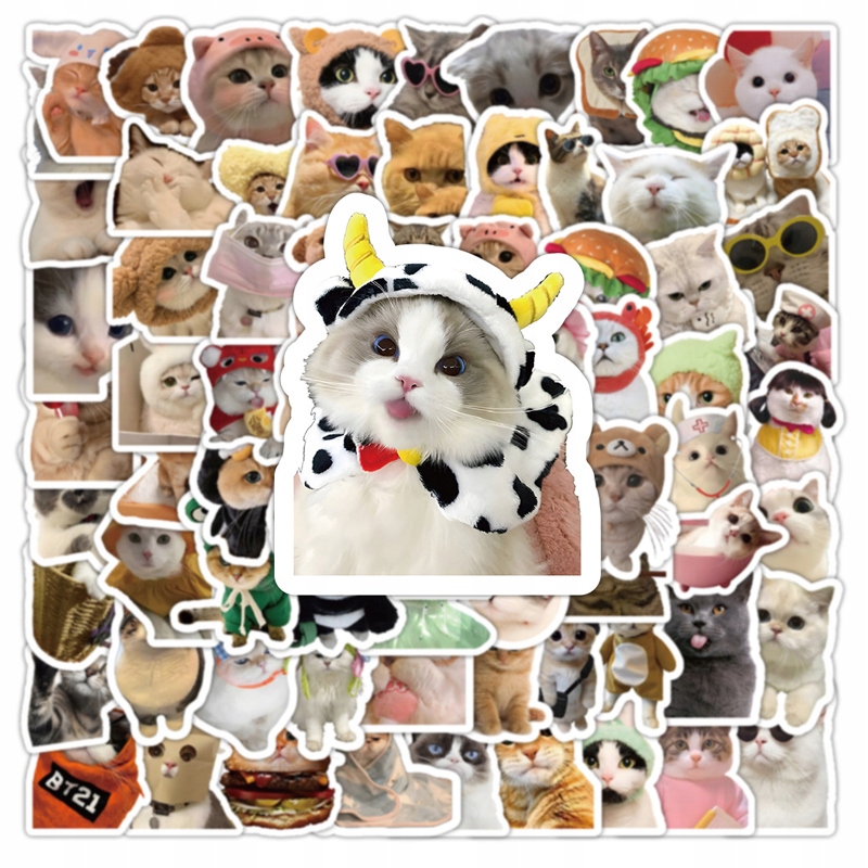 100 kusov vtipné roztomilé Meme zviera mačka mačiatko - Allegro