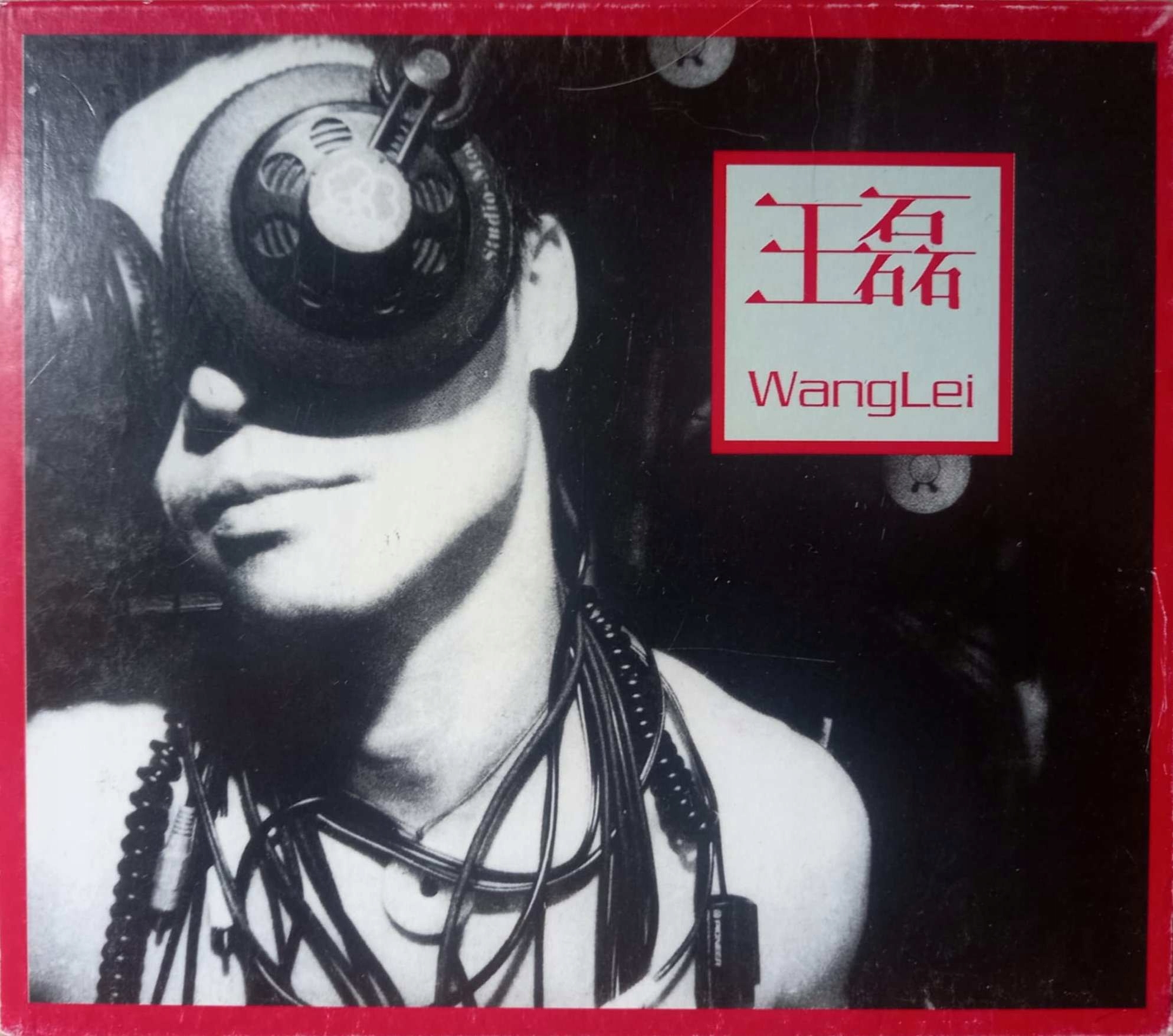 WANG LEI – WangLei - 2002 Nuevos Medios 17541063717 - Sklepy, Opinie, Ceny w Allegro