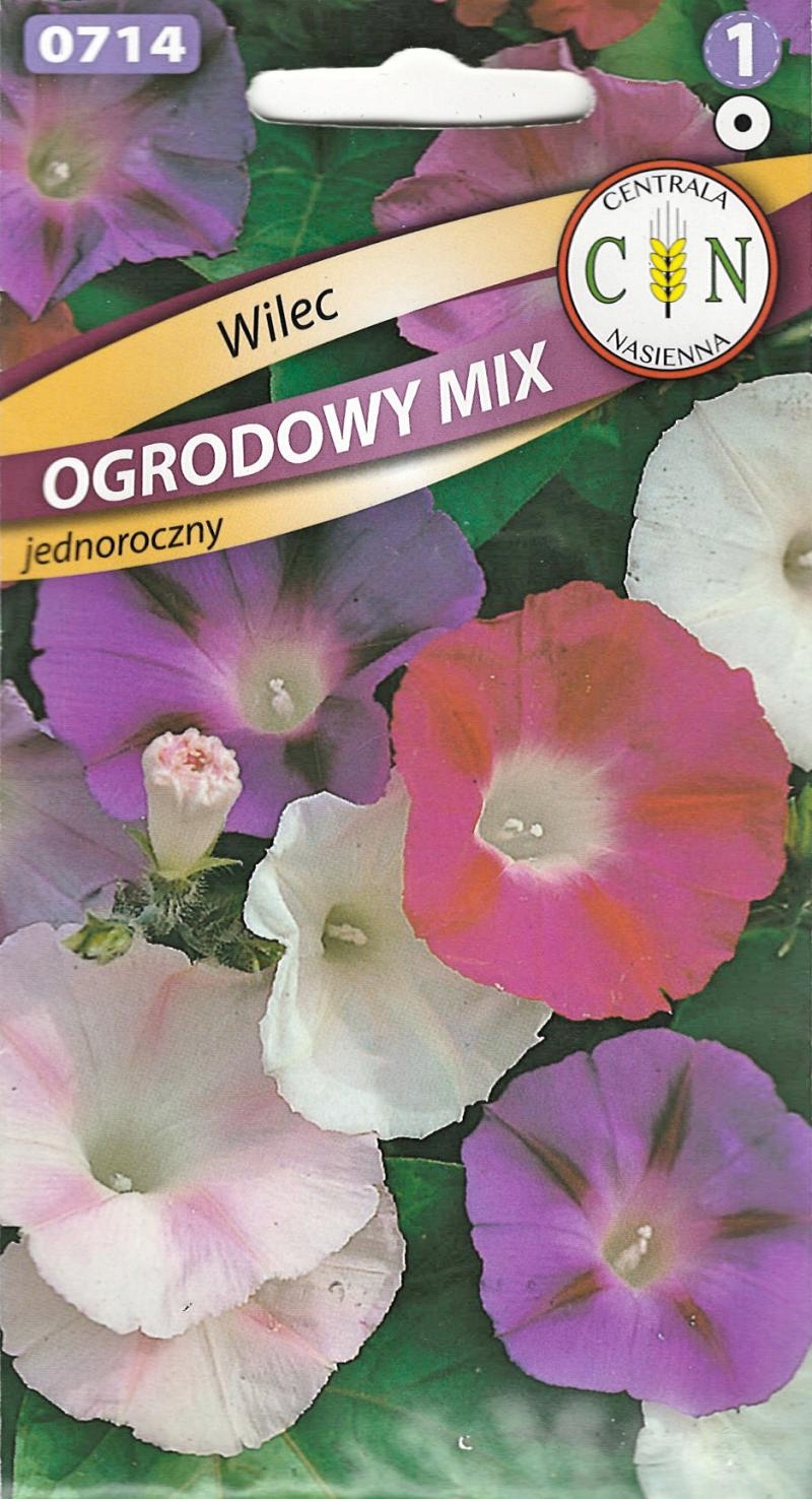 Wilec ogrodowy rośnie do 3m pnącze okrywowe nasiona 0,5g (5907677307140 ...