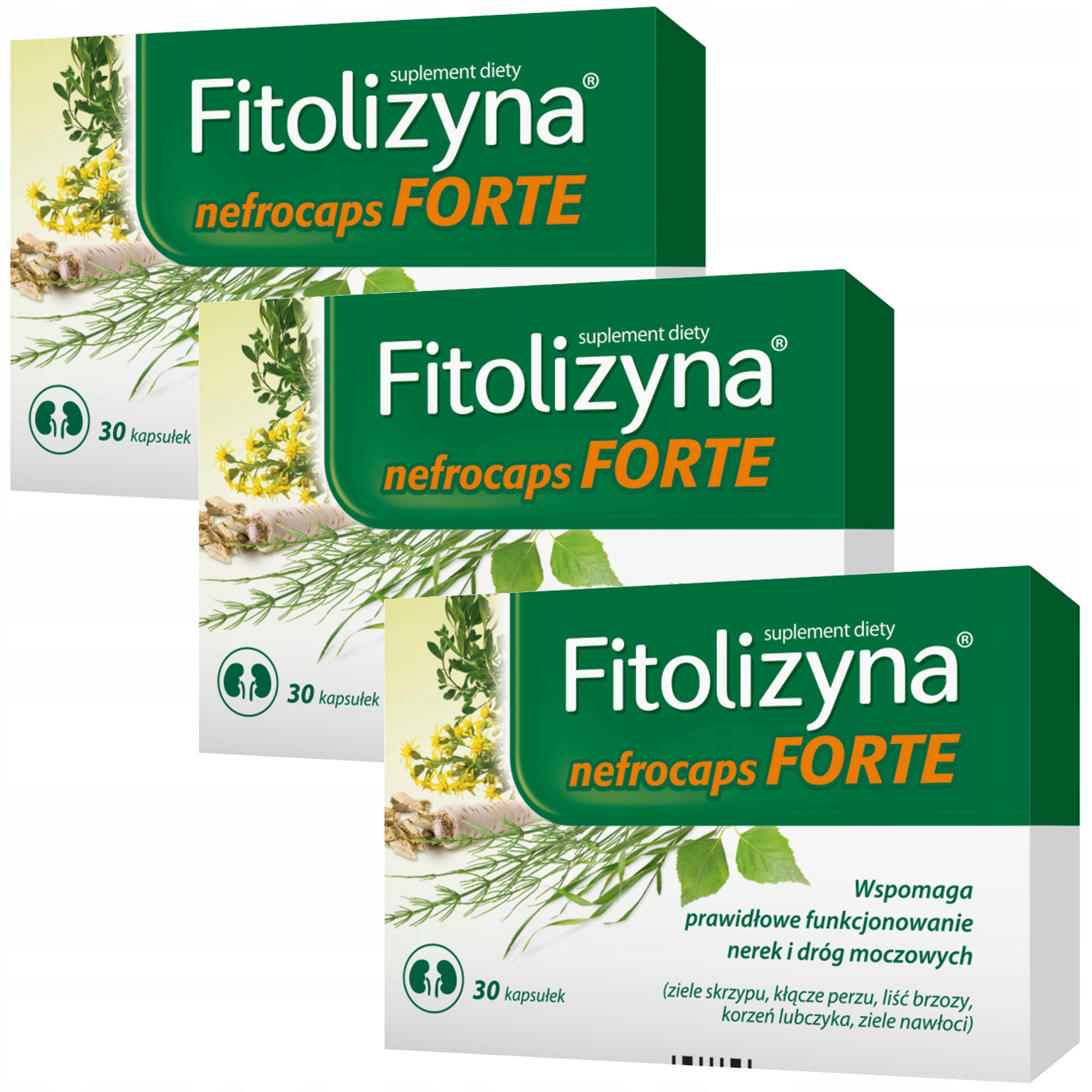ZESTAW FITOLIZYNA NEFROCAPS FORTE x 30 KAPSUŁEK UKŁAD MOCZOWY POLPHARMA ...