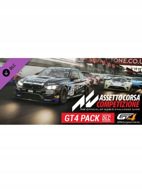 ASSETTO CORSA COMPETIZIONE GT4 PACK PL DLC STEAM - Stan: Nowy 87.67PLN - Sklepy, Opinie, Ceny w ...