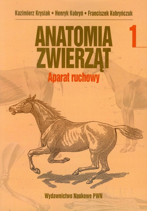 Anatomia Krysiak Tom 1 - Niska cena na Allegro