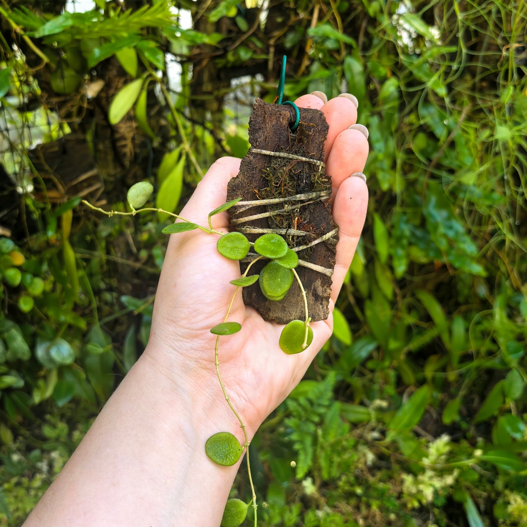 Hgtyhgtty - Niska cena na Allegro