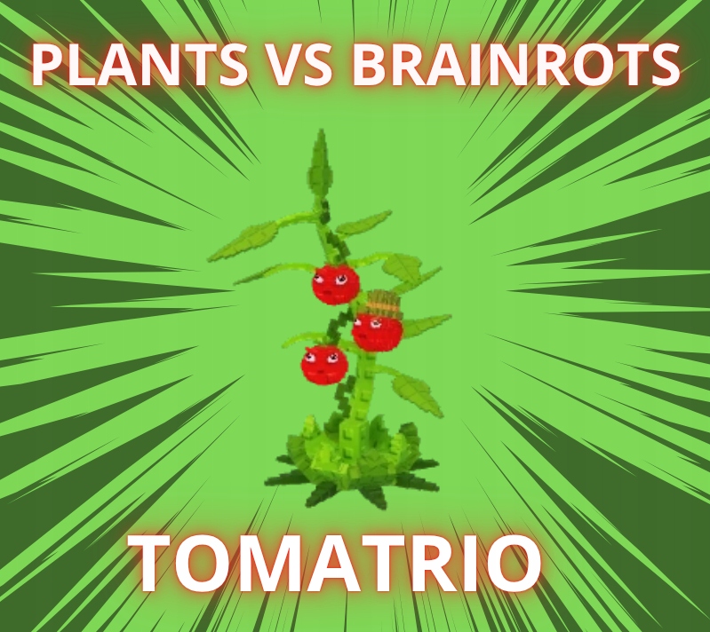 Tomatrio | Plant | Plants vs Brainrots | PVSB | Roblox • Cena, Opinie ...
