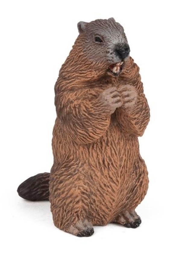 Świstak Figurka - Niska cena na Allegro.pl