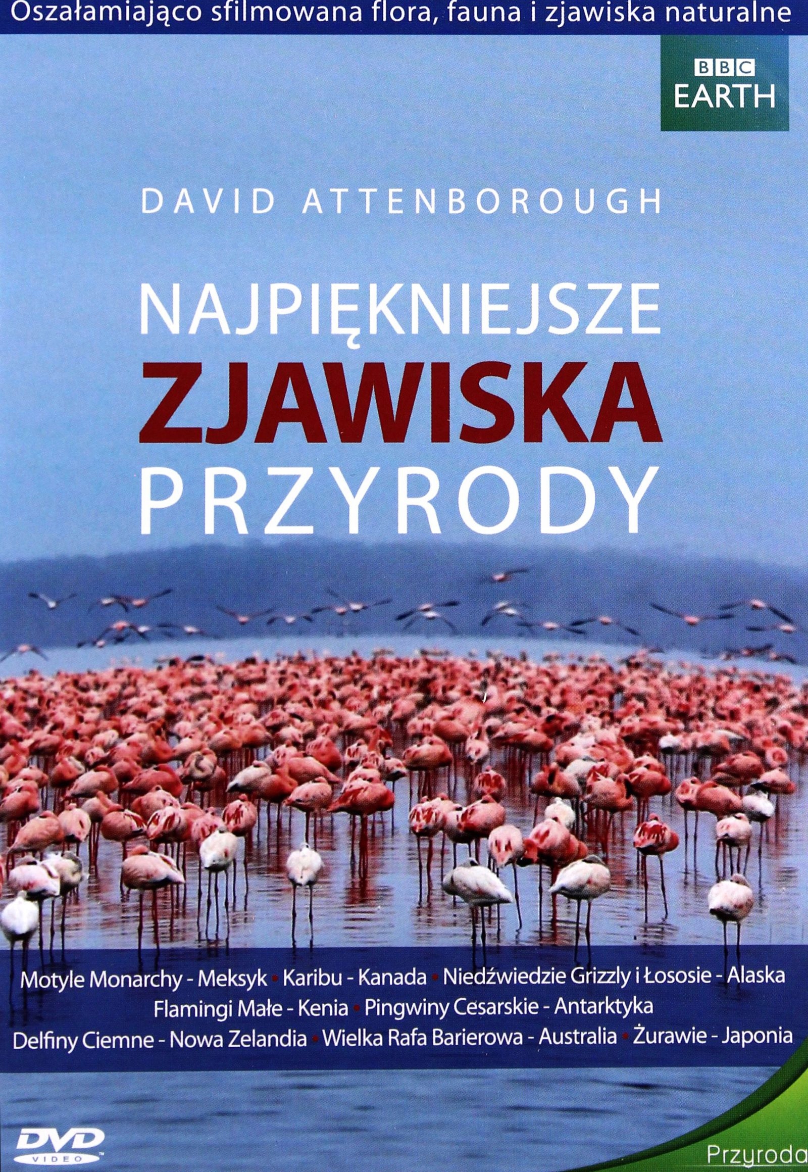 Najpiękniejsze zjawiska przyrody płyta DVD - porównaj ceny - Allegro.pl