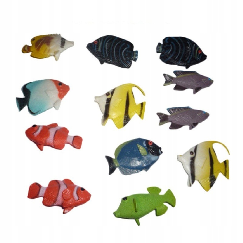 Rybki Akwariowe Nemo - Niska cena na Allegro