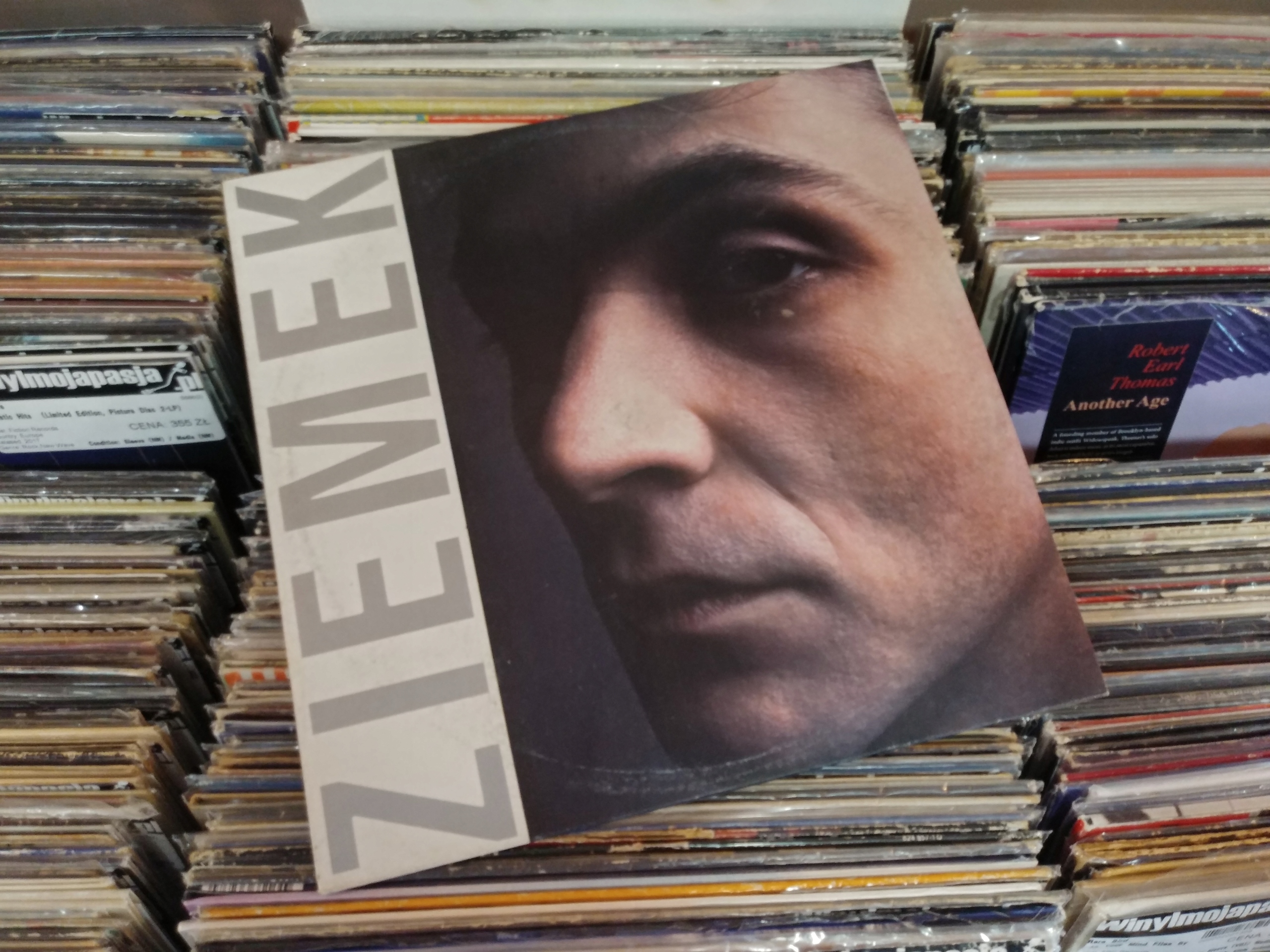 Winyl Ziemek rock • Cena, Opinie - Allegro