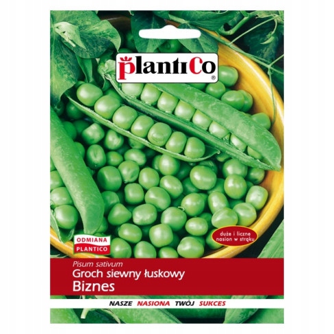 GROCH ŁUSKOWY BIZNES 40 g PlantiCo • Cena, Opinie • Warzywa 11014341616 ...