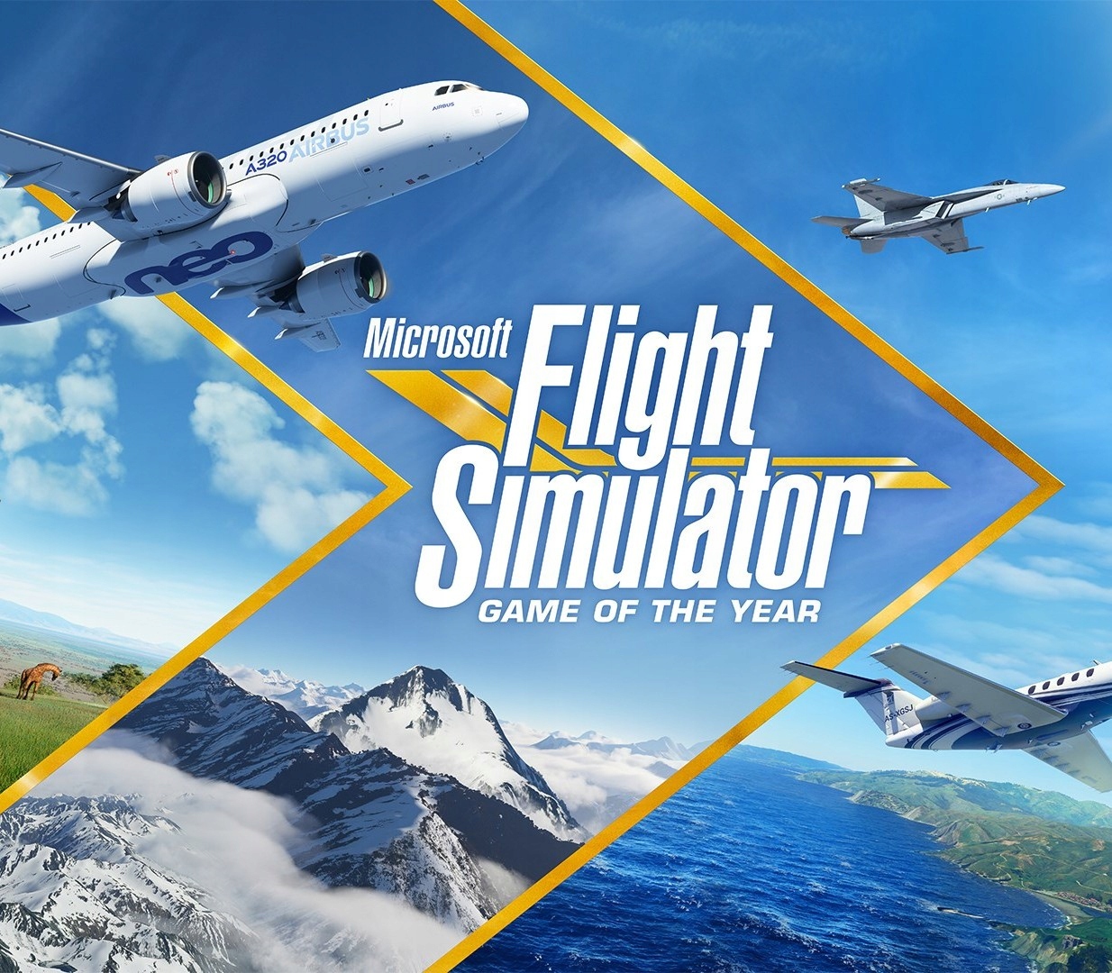 Microsoft Flight Simulator Premium Deluxe Game of the Year Edition Xbox ...