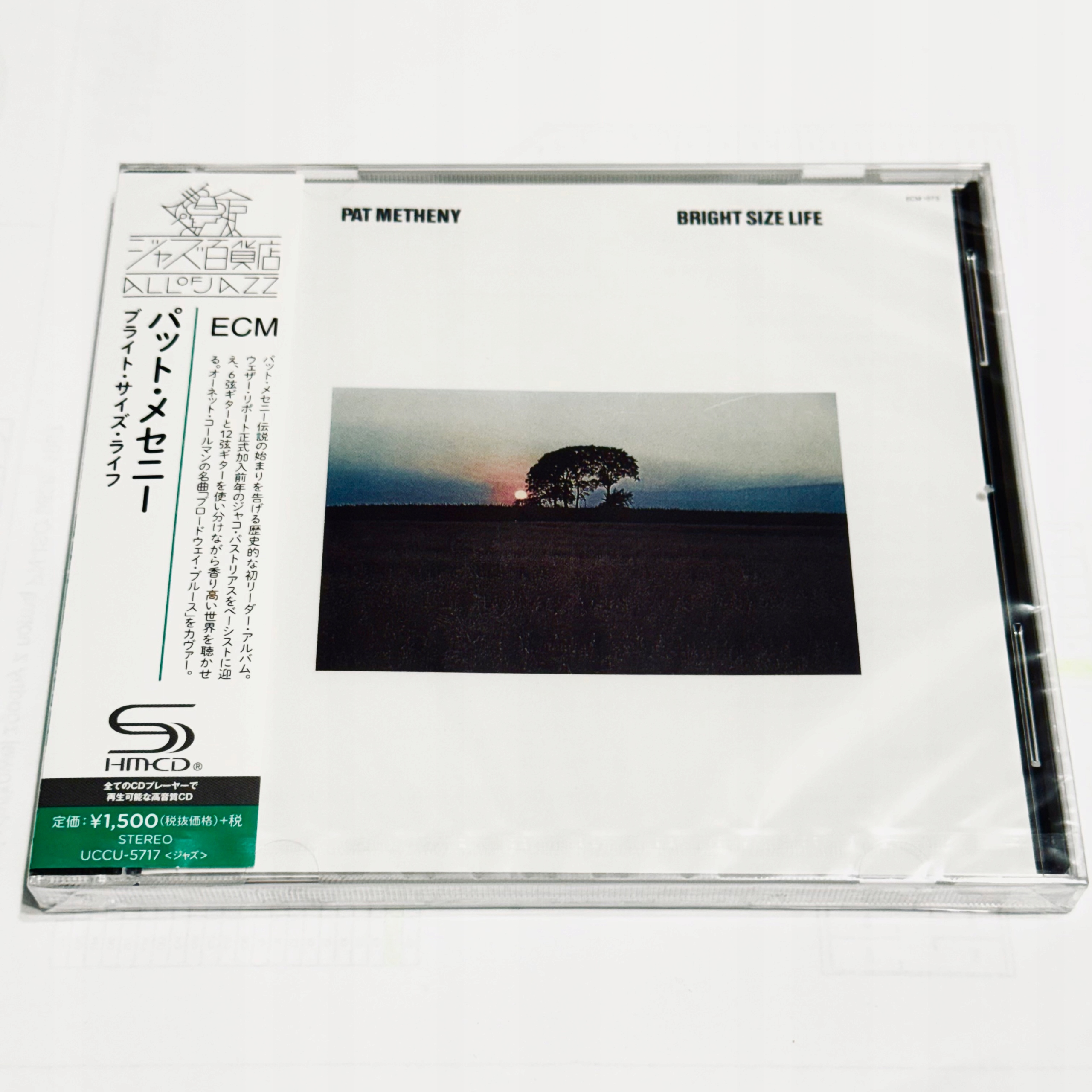 Bright Size Life Pat Metheny CD • Cena, Opinie - Allegro