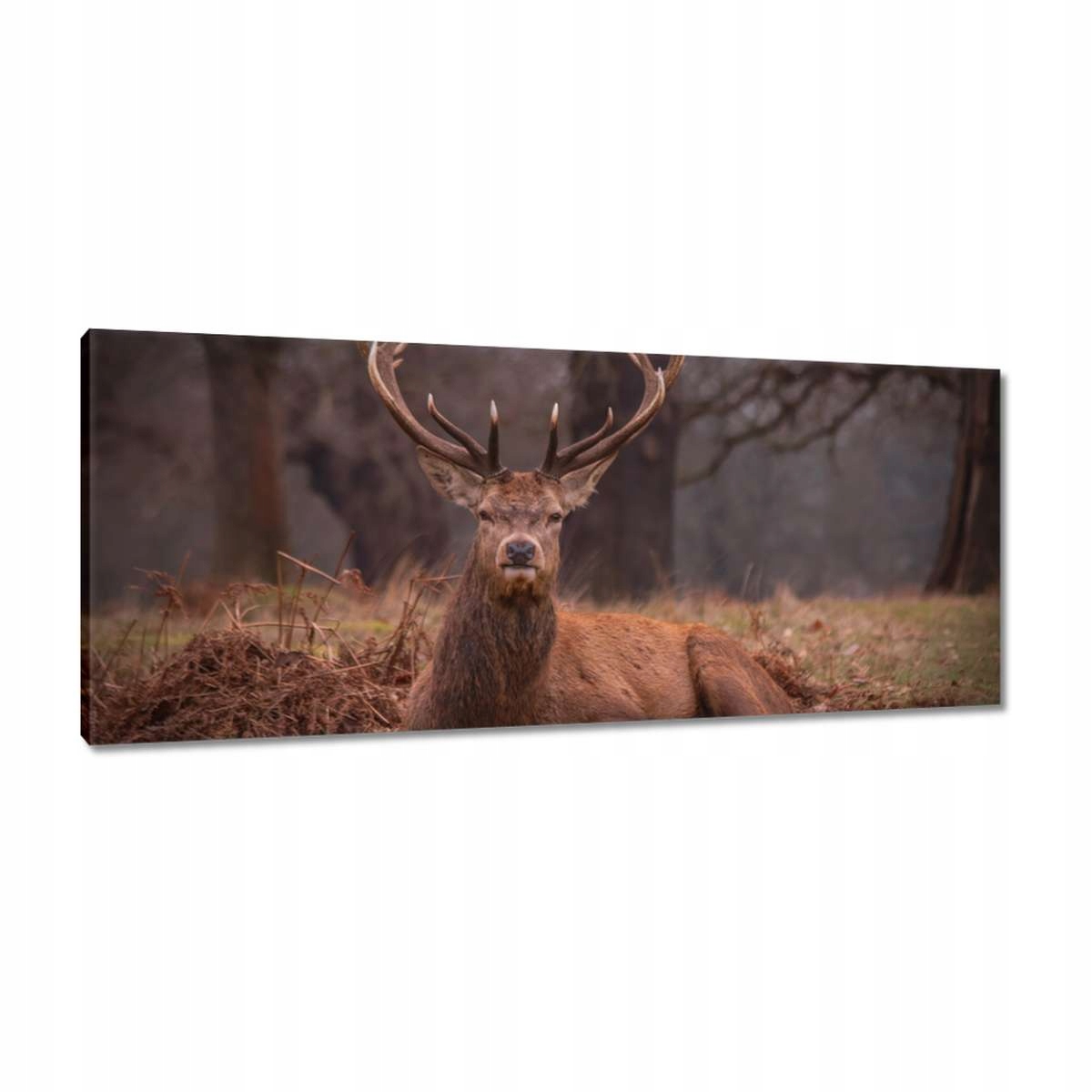 Vászonkép 100x40 Szarvas felszarvazott za 7775.00HUF-ért - Allegro