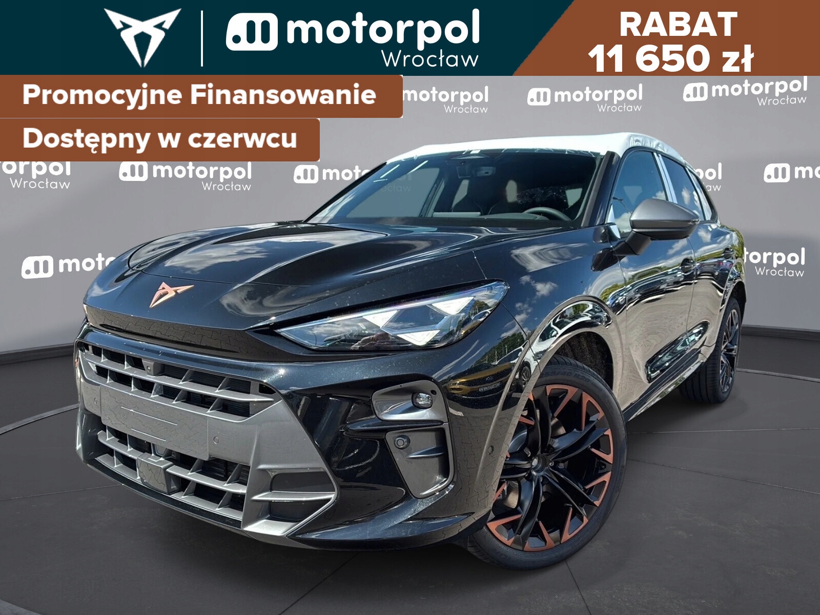 Cupra Terramar Advantage Edition 2.0 TSI DSG 4Driv - Allegro