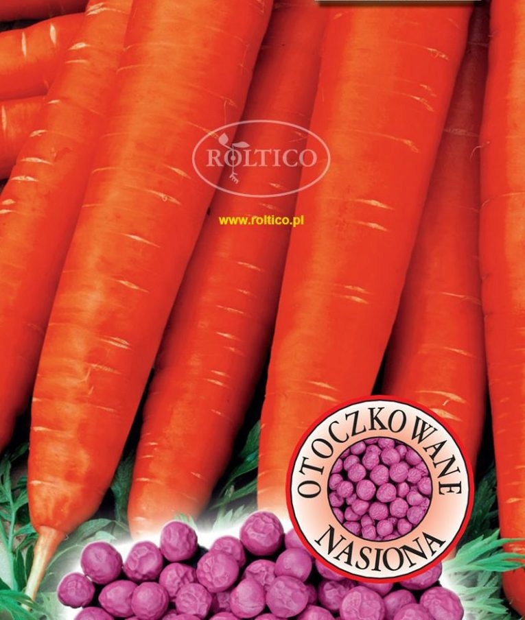 Marchew FLAKKESE 2- VITA LONGA nasiona 1 g (5906493007913) • Cena ...