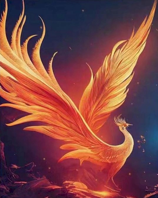 Feniks w Malowanie po numerach - Allegro.pl