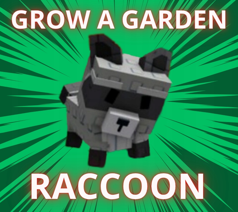 Raccon | Szop | Raccoon | Możliwa Mutacja | Grow A Garden | GaG ...