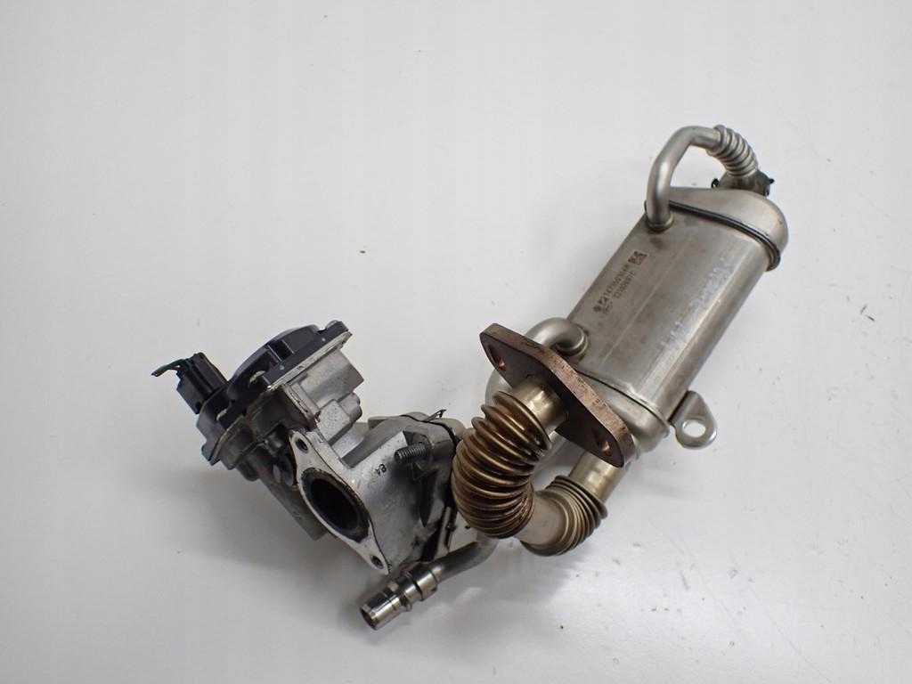ZAWÓR EGR CHŁODNICZKA SPALIN RENAULT MEGANE SCENIC III 1.5 DCi 14R 147350364R H8201143495 ...