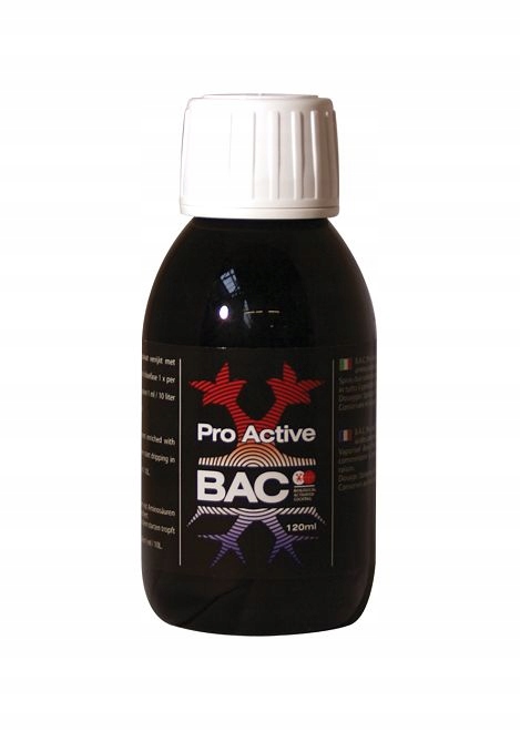 Bac Pro-active - Niska cena na Allegro