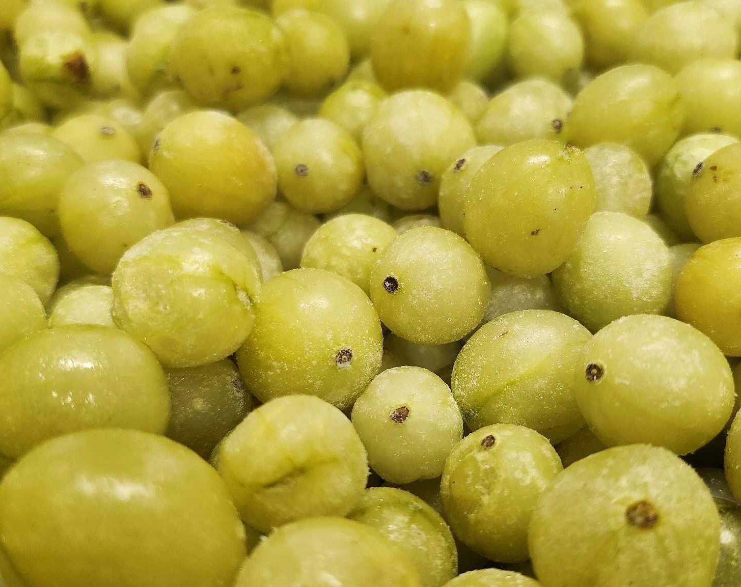 Agrest mrożony premium owoce witamina C 5kg 14034186729 - Allegro.pl