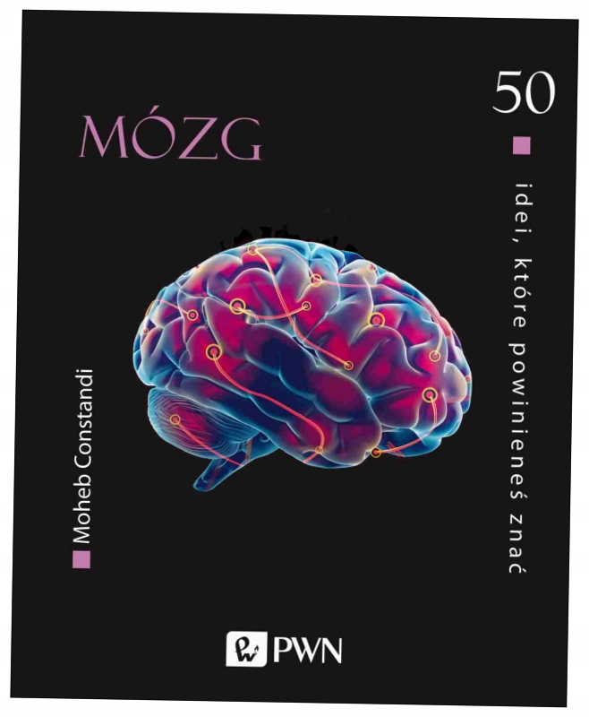 Mózg 50 idei, które powinieneś znać Constandi (12945234877) | Książka ...
