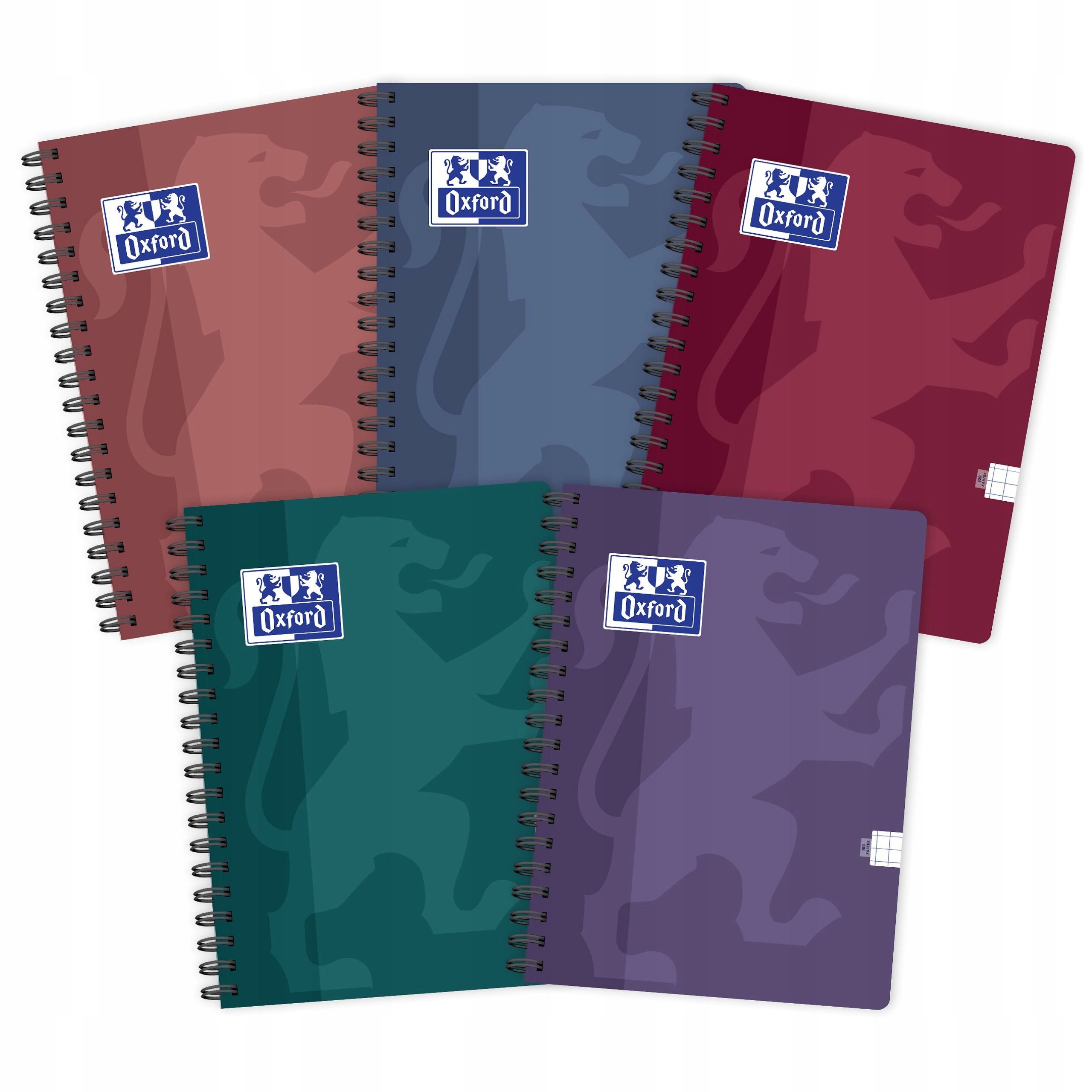 Zeszyt w kratkę B5 Oxford 100 kartek (5905280209509) • Cena, Opinie ...