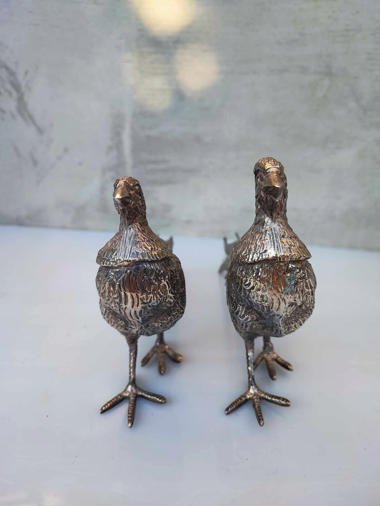 Samica Pawia - Niska cena na Allegro