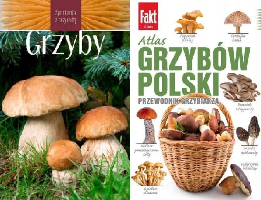 Atlas grzybów Polski + Grzyby. Spotkania Snowarski (14515229409 ...