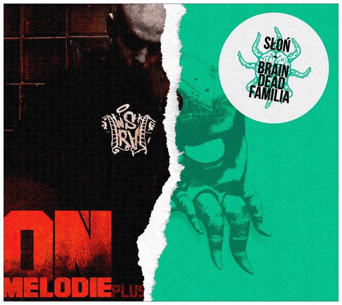 Słoń - Chore Melodie Plus + Brain Dead Familia BDF 13397357282 - Sklepy, Opinie, Ceny w Allegro