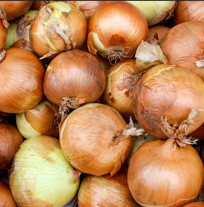 SŁODKA CEBULA Z HISZPANII STARA ODMIANA NASIONA (5905215175312) • Cena ...