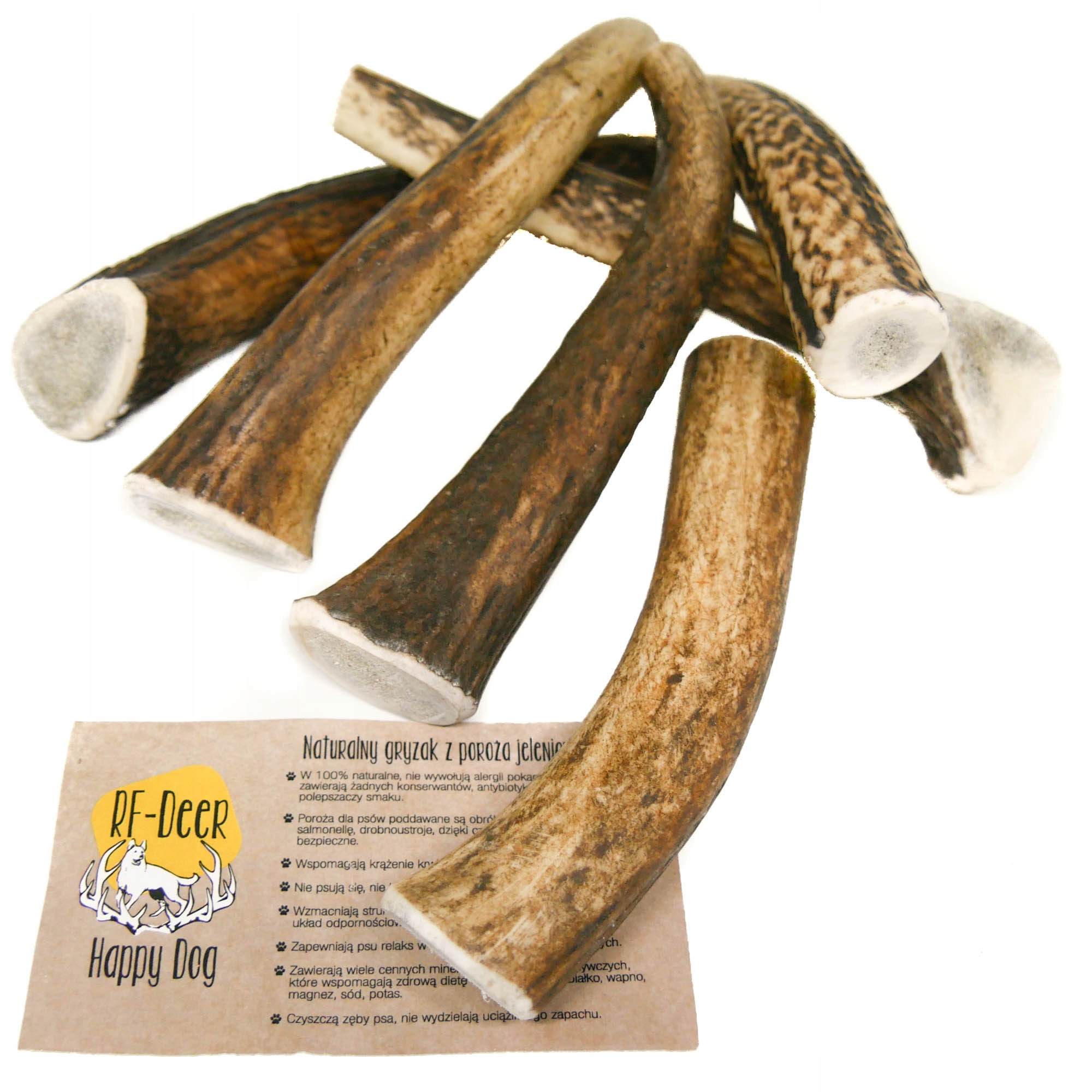 Poroże Jelenia dla Psa - Niska cena na Allegro