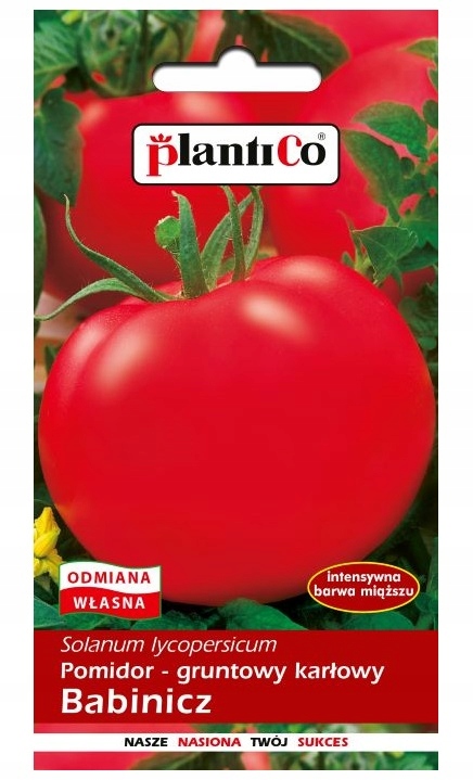Pomidor-gruntowy karłowy Babinicz 1g Plantico (5901363405356) • Cena, Opinie • Warzywa ...