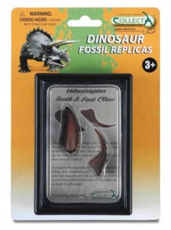 Pazur Velociraptora - Niska cena na Allegro