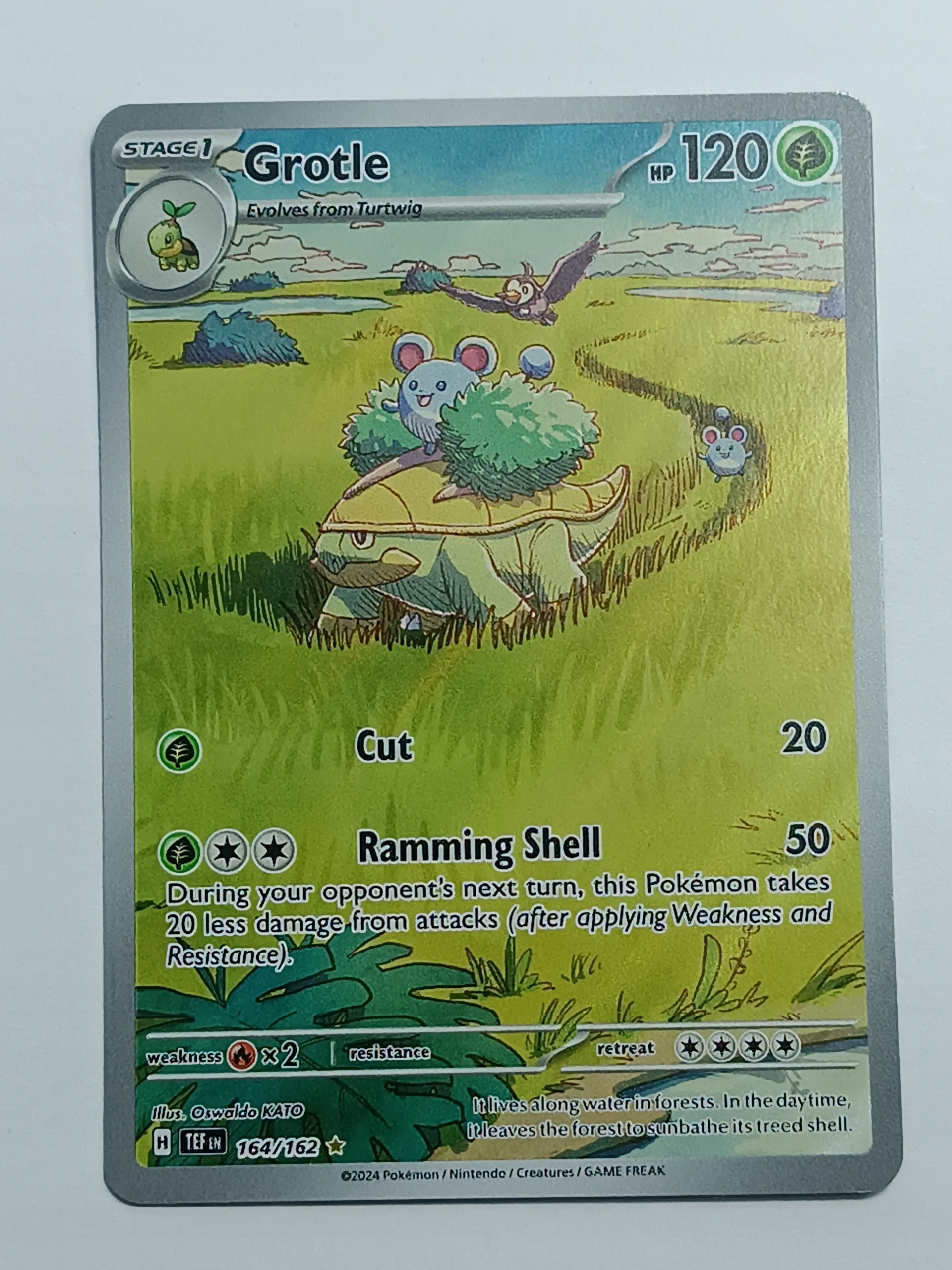 Karta Pokémon - Temporal Forces - 164/162 - Grotle • Cena, Opinie - Allegro