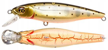 PONTOON21 Greedy Guts 55F-MDR 451 CB Natural Yamam - 4571115324689 ...