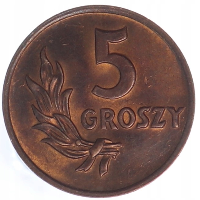 5 Groszy - Polska - 1949 rok • Cena, Opinie - Allegro
