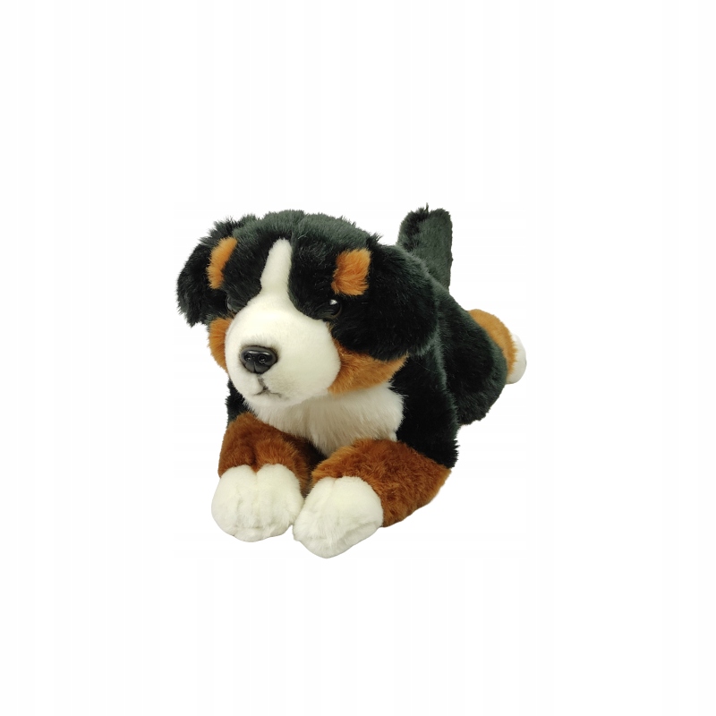 PLUSZAK MASKOTKA Pies Berneński 27cm DUBI • Cena, Opinie - Allegro